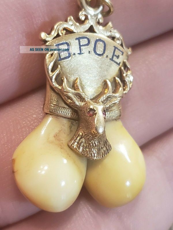 RARE EARLY 1900S 14KT GOLD BPOE ELKS DOUBLE ELK TOOTH FRATERNAL PENDANT ...