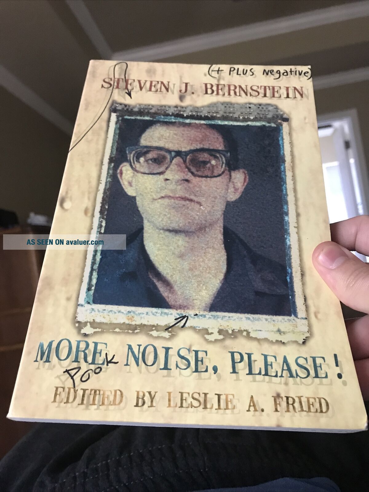 Steven J. Bernstein More Noise Please Poetry Rare OOP First Edition ...