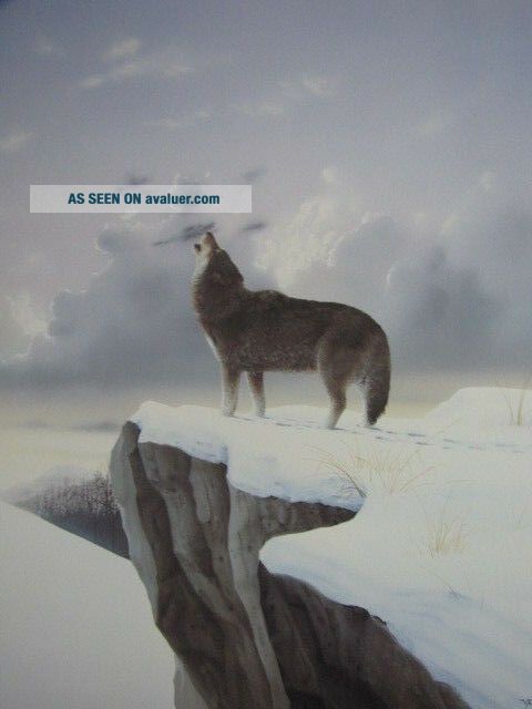 RARE Donald Vann " Cry Of Kindred Spirits " 2280 Wolf Native American ...