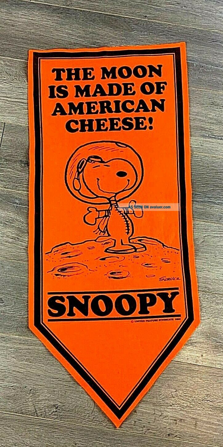 Rare Vintage 1969 Peanuts Snoopy The Moon Is Made Of American Cheese ...