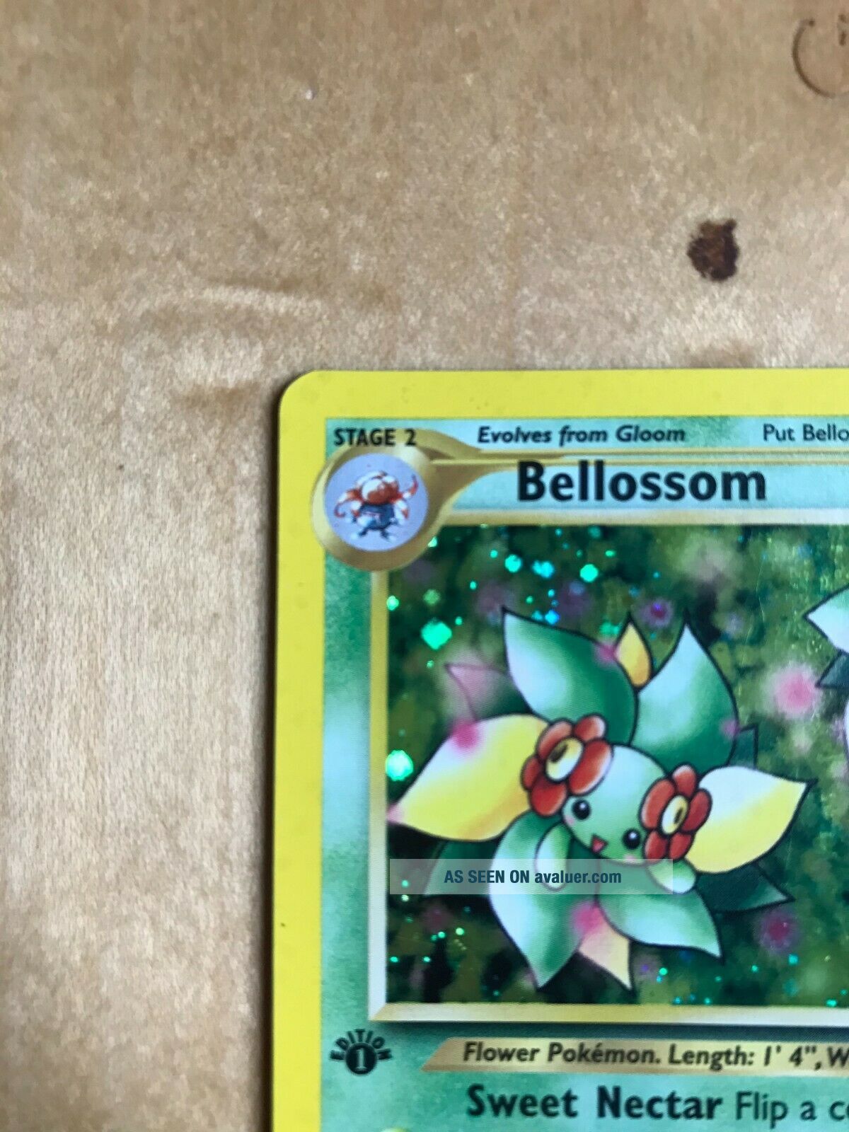 Pokemon Cards: Neo Genesis 1st Edition: Rare Holo: Bellossom 3/111 ...