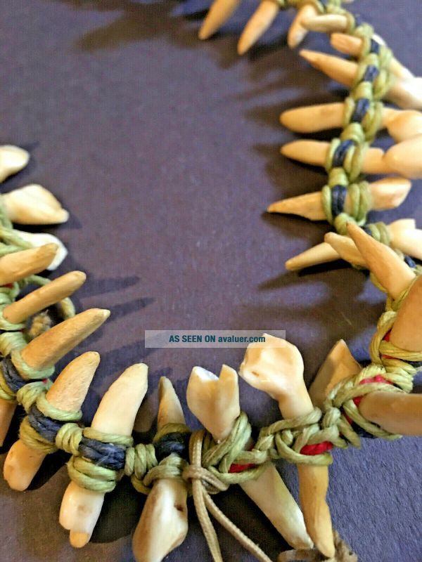 Shaman Witchcraft Medicine Man Voodoo Necklace With Real Teeth And ...