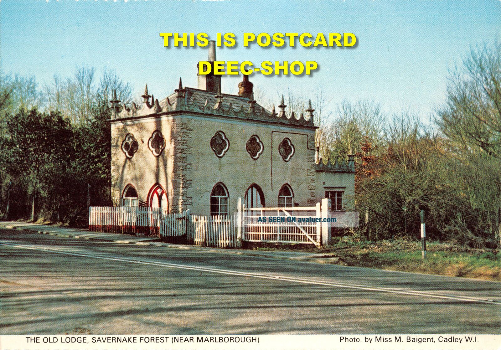 L052870 Savernake Forest. Near Marlborough. The Old Lodge. Wiltshire ...