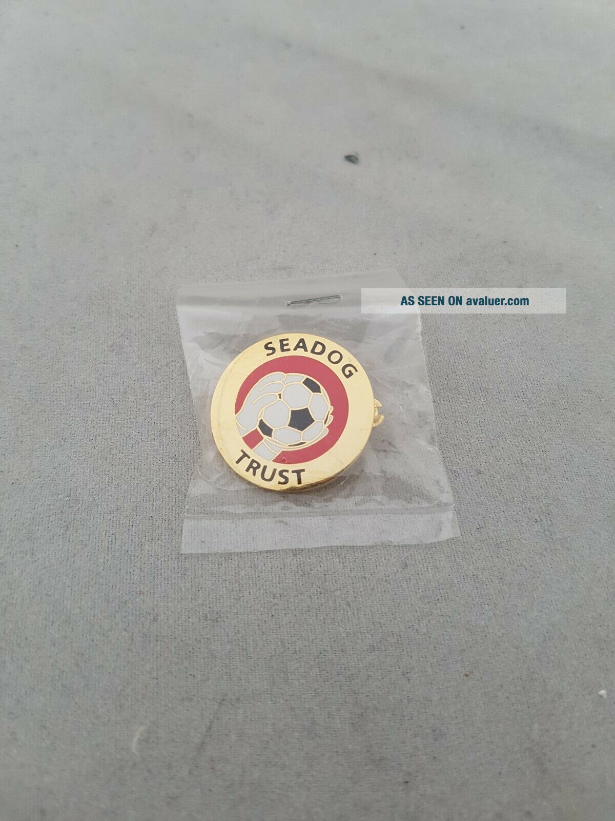 RARE SCARBOROUGH FC FOOTBALL CLUB PIN BADGE SEADOG TRUST | #56642396
