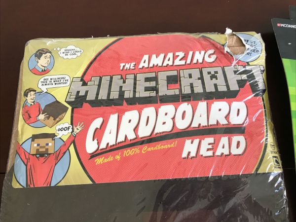THE Minecraft Cardboard Head Steve & Diamond Sword Costume Cosplay ...