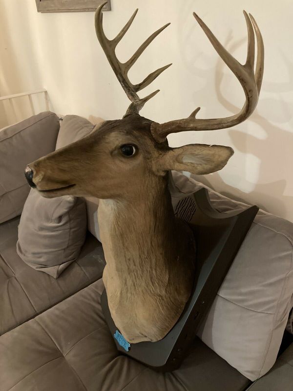 Gemmy Buck The Animated Wall Mounted Trophy Singing Talking Deer 2004 ...